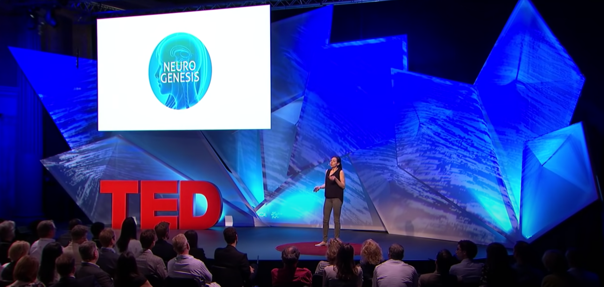 You can grow new brain cells. Here is how – Neurogen Australia